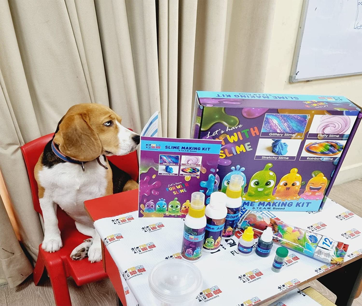 Slime DIY kit - Fun With Science Store